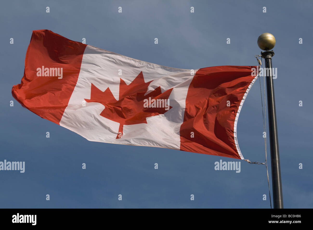 The National Flag of Canada Stock Photo - Alamy