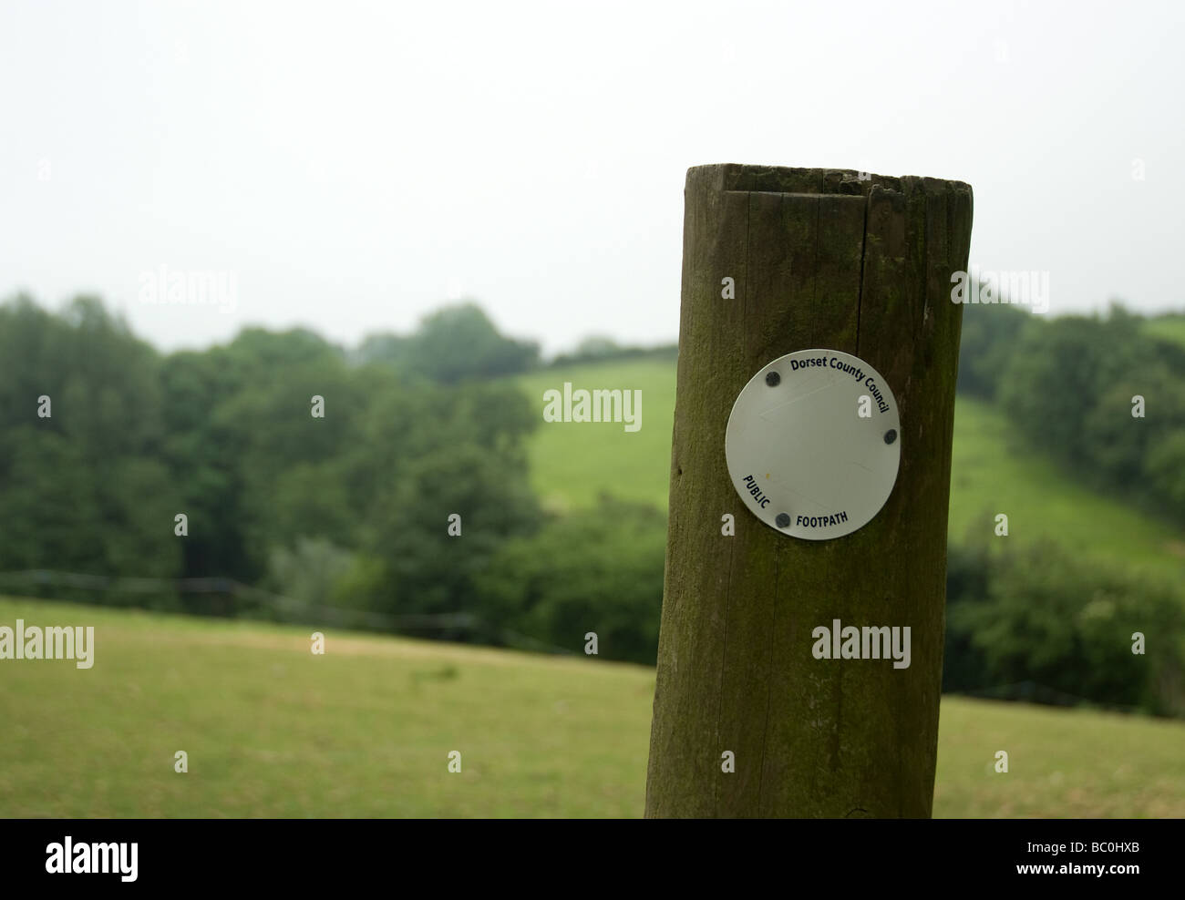 Dorset council hi-res stock photography and images - Alamy