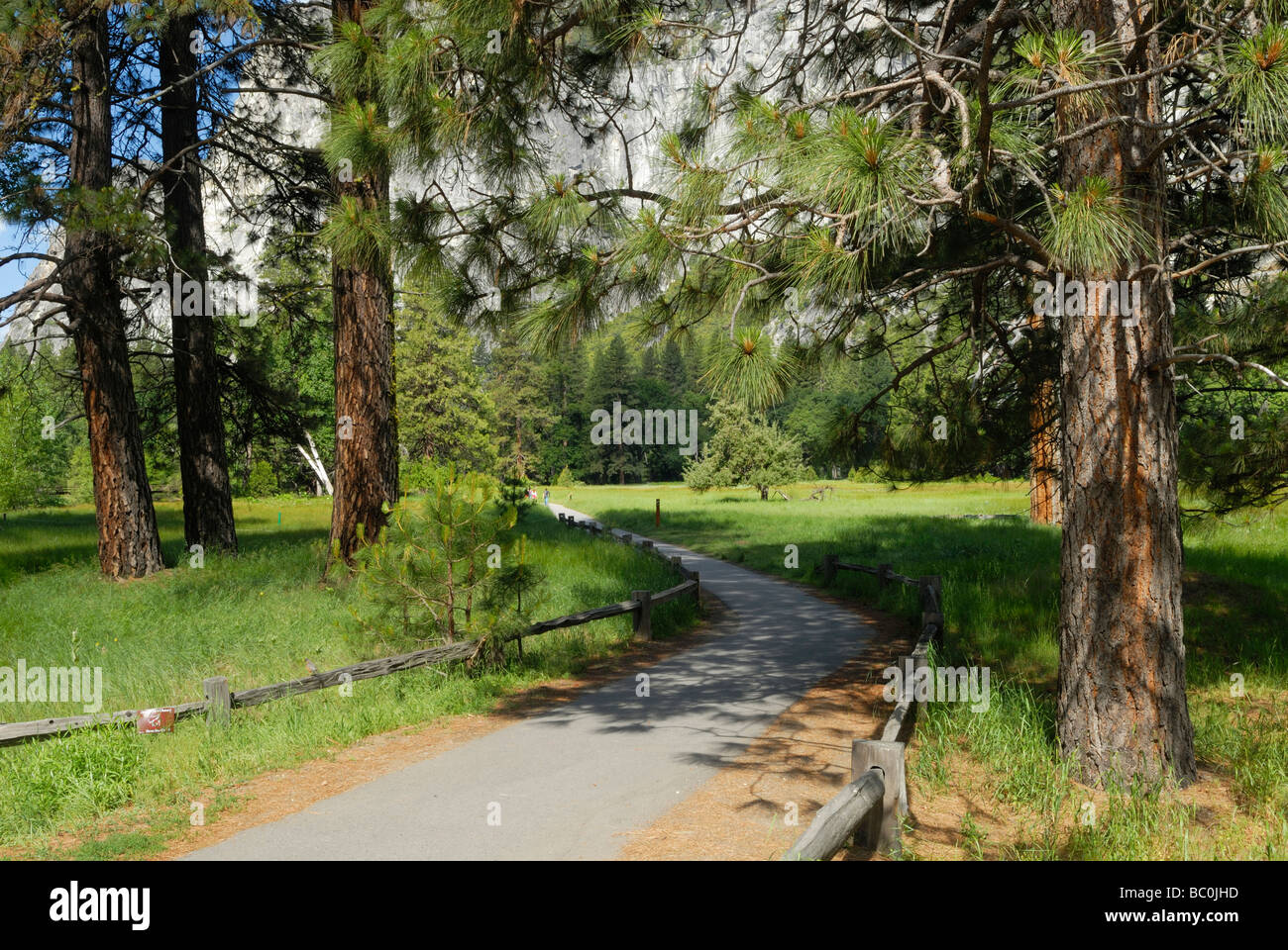 Yosemite wilderness path hi-res stock photography and images - Alamy