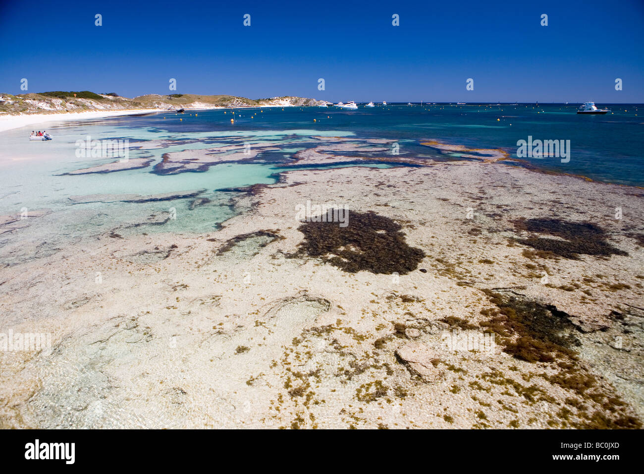 Reef rottnest hi-res stock photography and images - Alamy