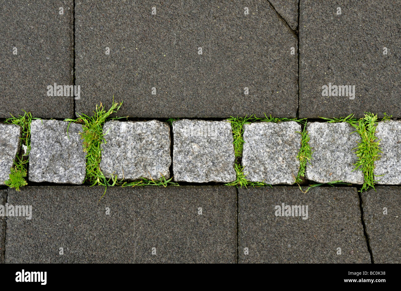 Grass in cracks on pavement Reykjavík Iceland Stock Photo - Alamy