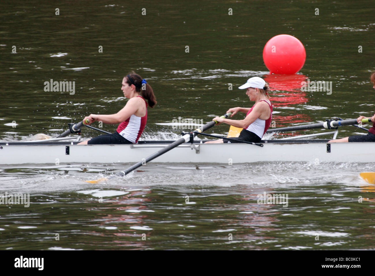 Rowing team men and women hi-res stock photography and images - Alamy