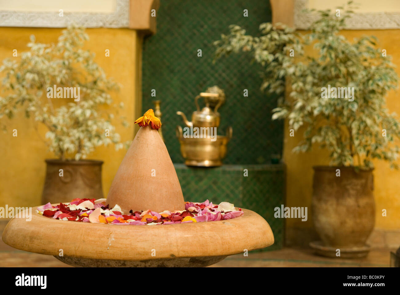 Rose petals floating in the water of a central water feature inside a ...