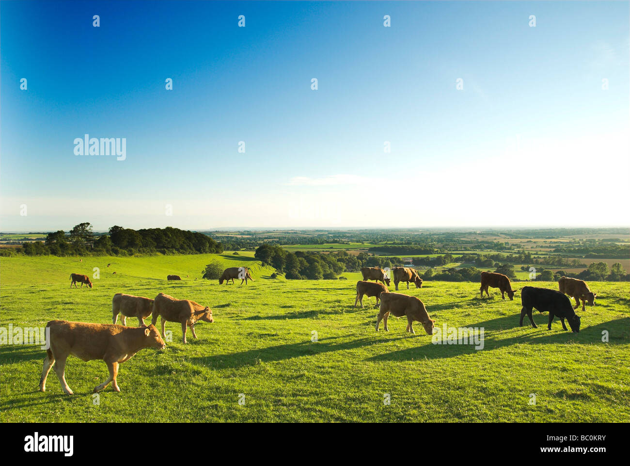 Classic kent countryside hi-res stock photography and images - Alamy