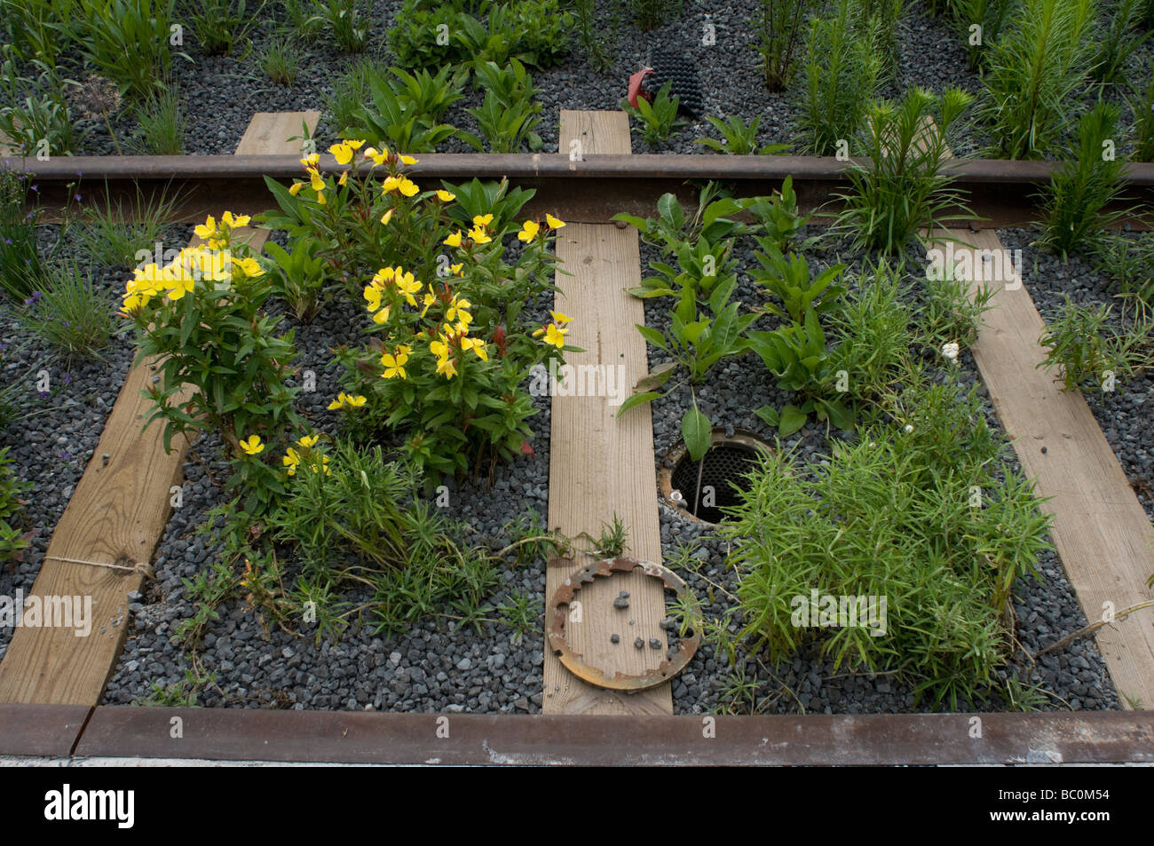 Flowers and railroad tracks on the High Line Park Stock Photo - Alamy