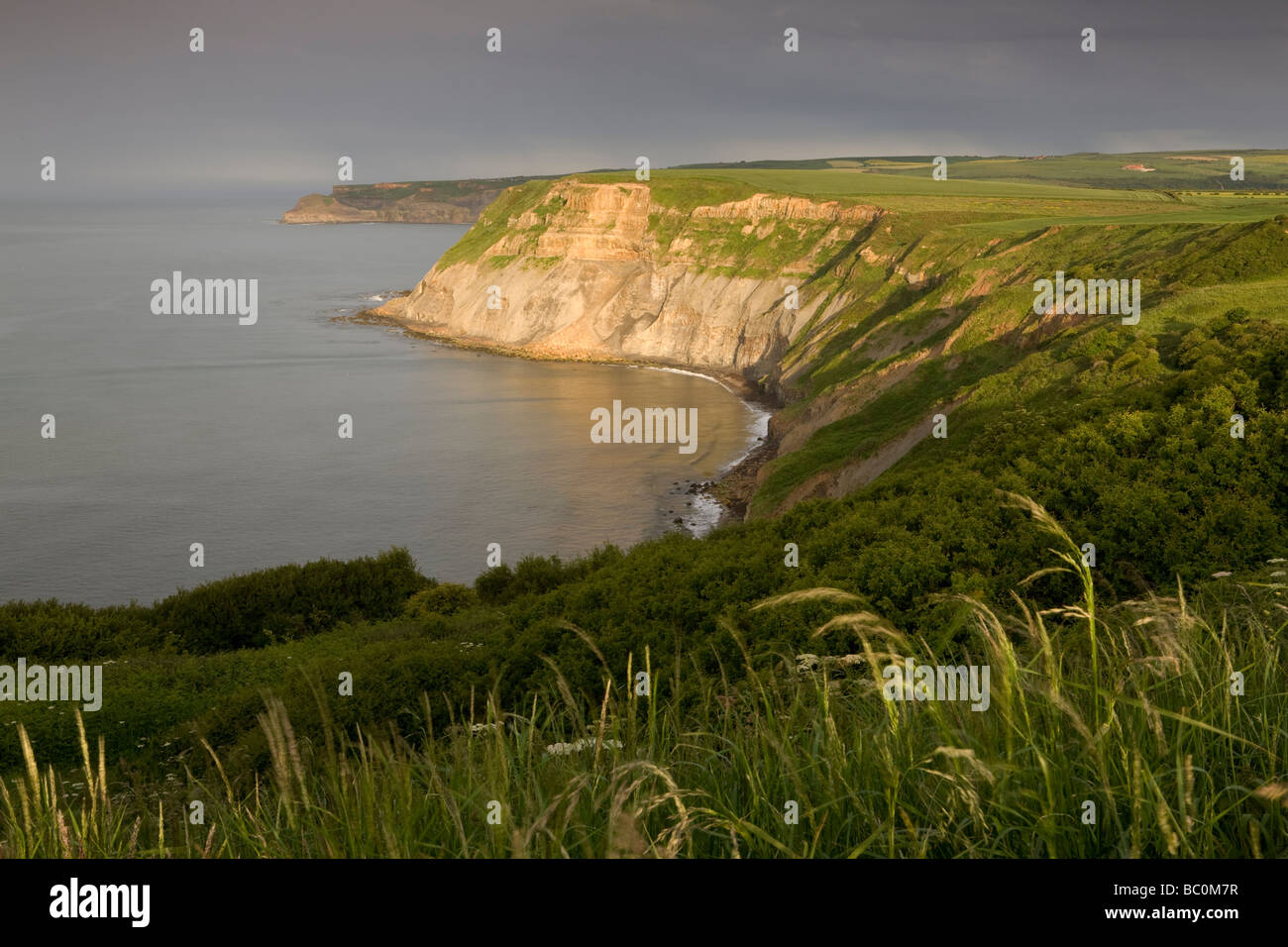 Port mulgrave summer hi-res stock photography and images - Alamy