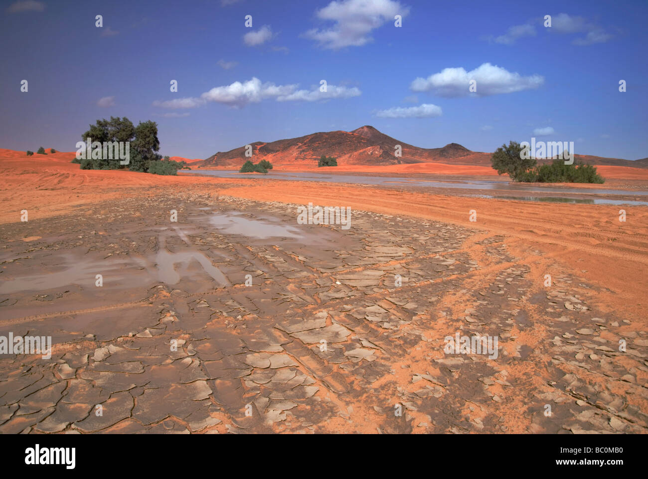 Rainfall washes through the Sahara desert near Merzouga Morocco North ...