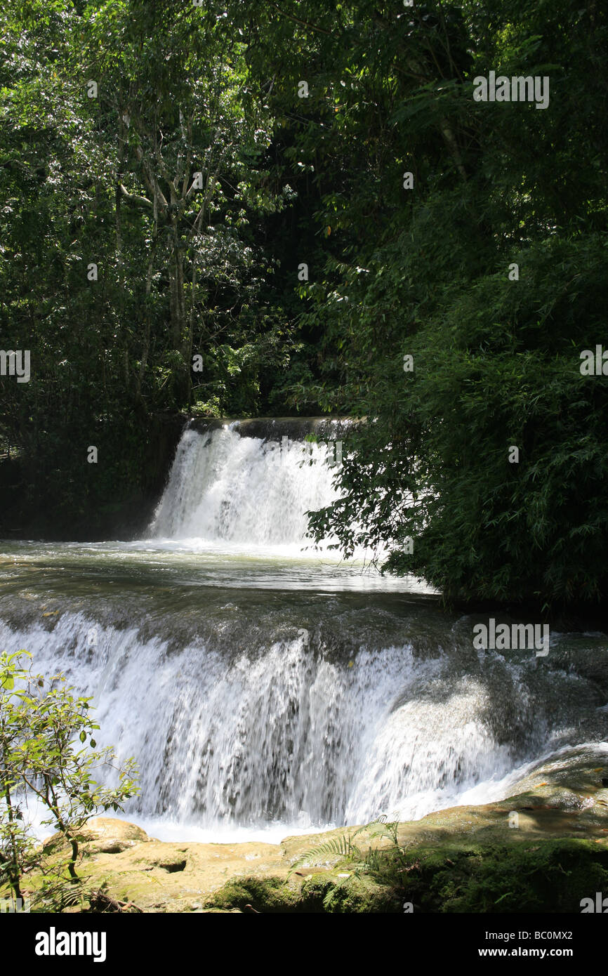 YS falls in Jamaica Stock Photo - Alamy