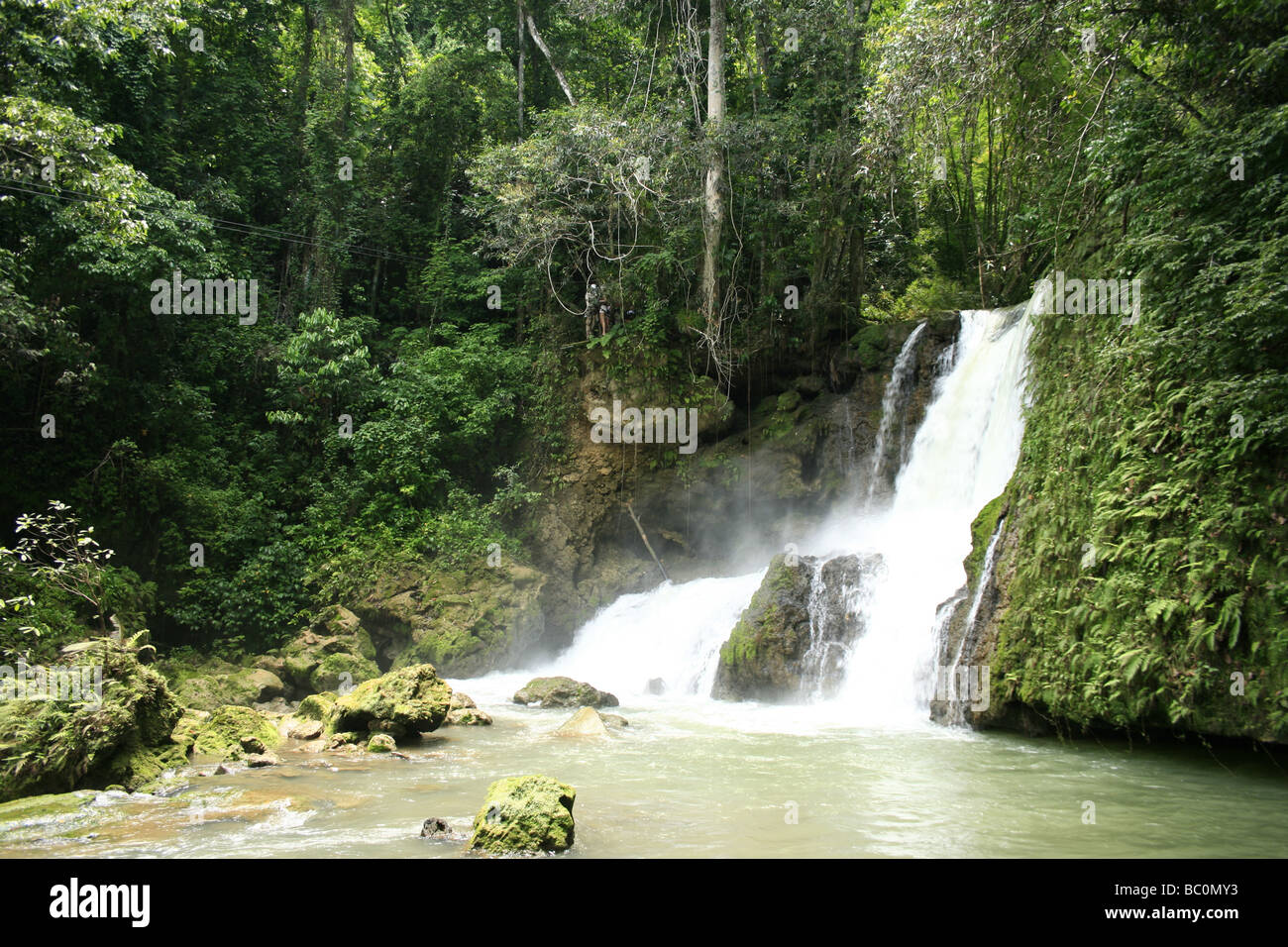 YS falls in Jamaica Stock Photo - Alamy