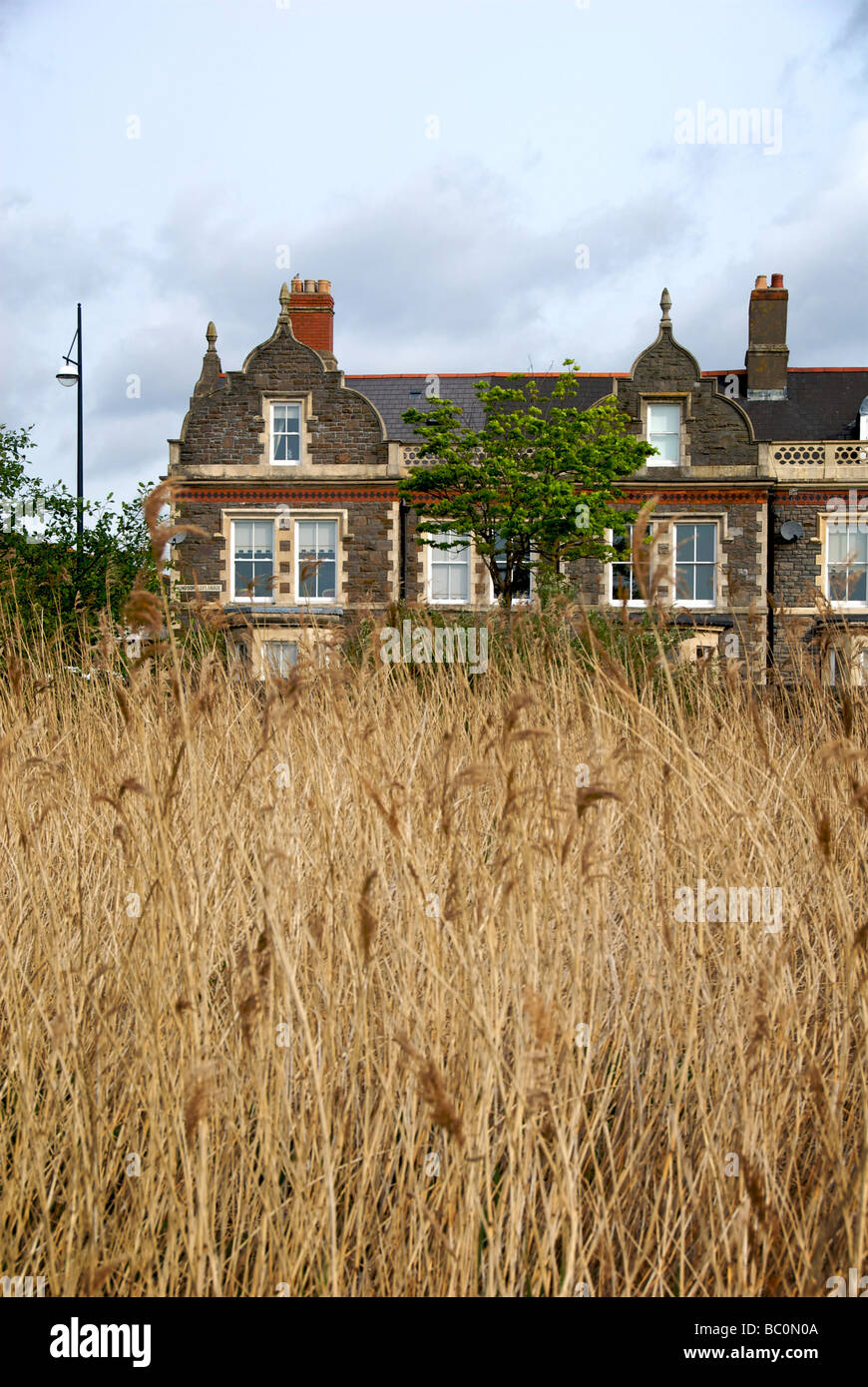Terraced beds hi-res stock photography and images - Alamy