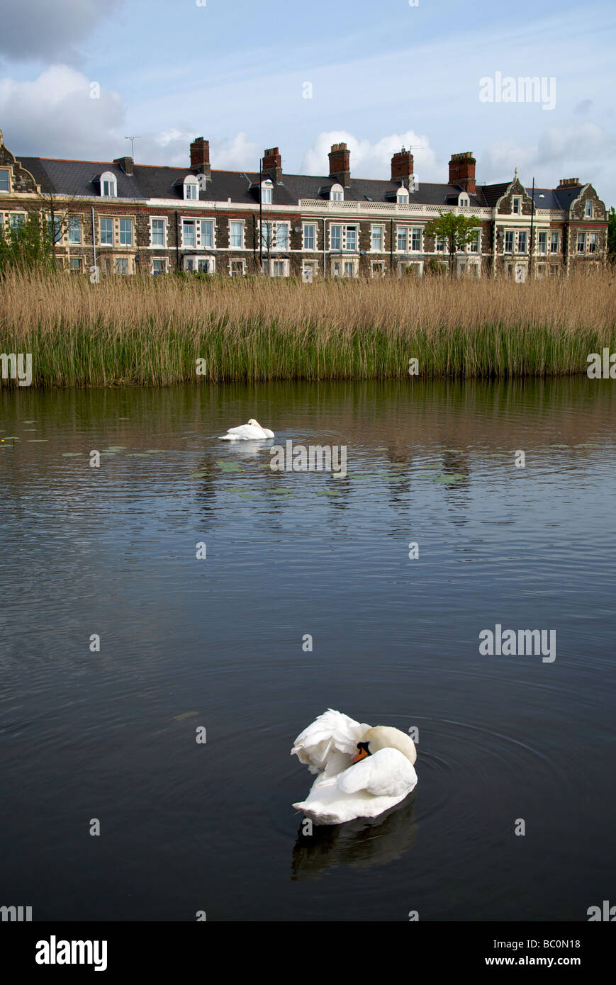 Terraced beds hi-res stock photography and images - Alamy