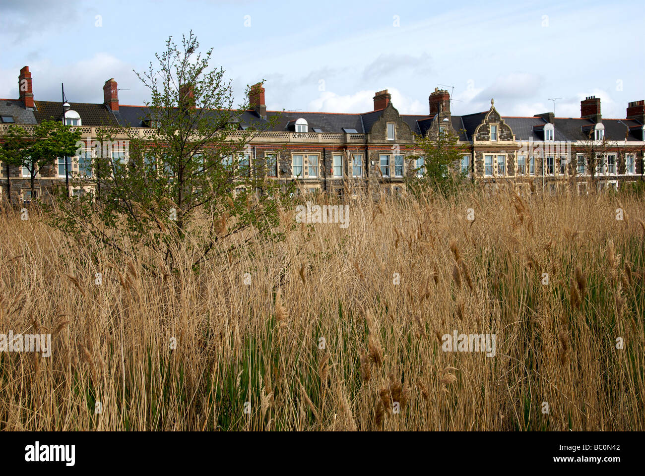 Uk terrace buildings reed beds hi-res stock photography and images - Alamy
