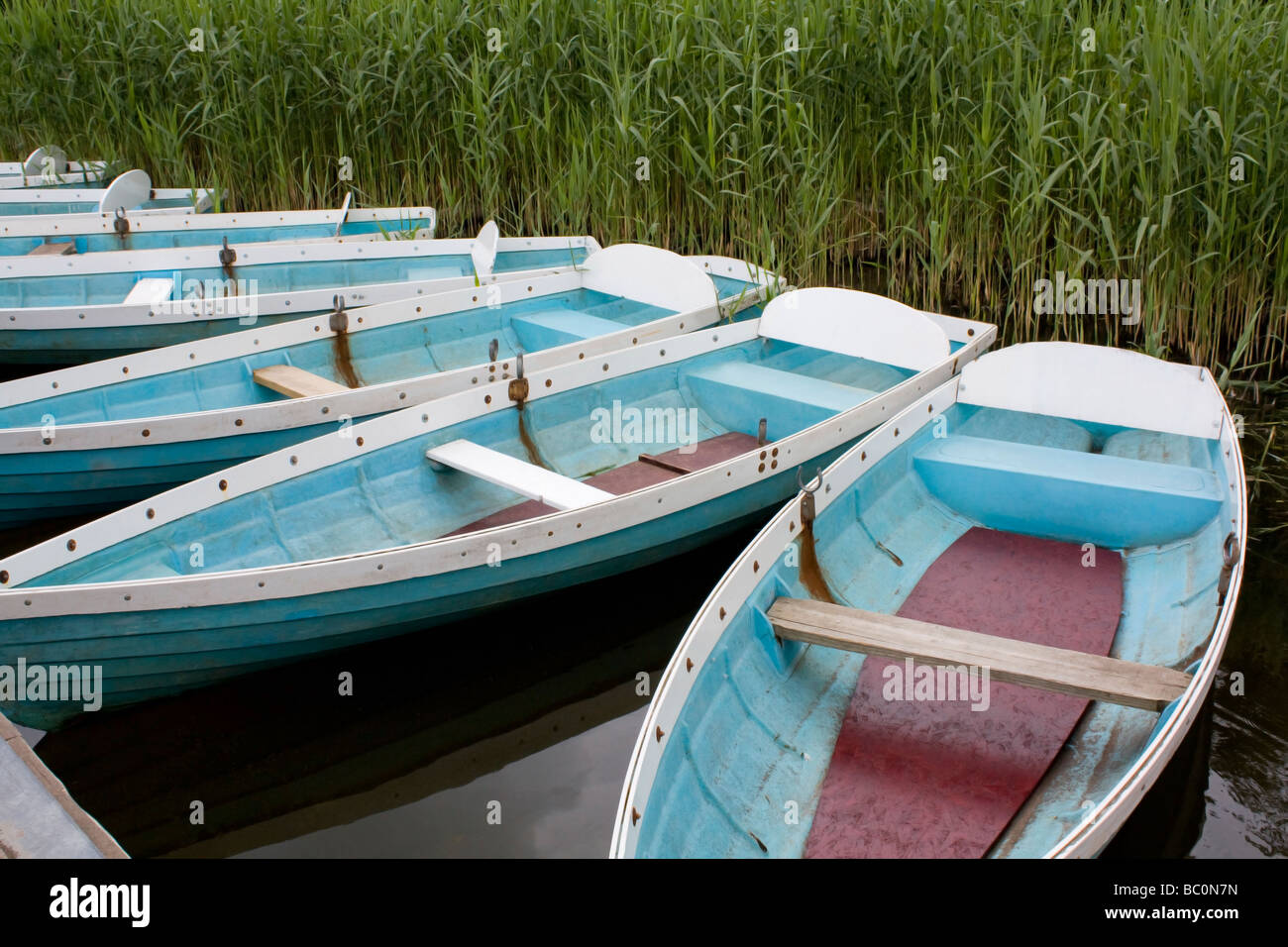 Blue rowing boats hi-res stock photography and images - Alamy
