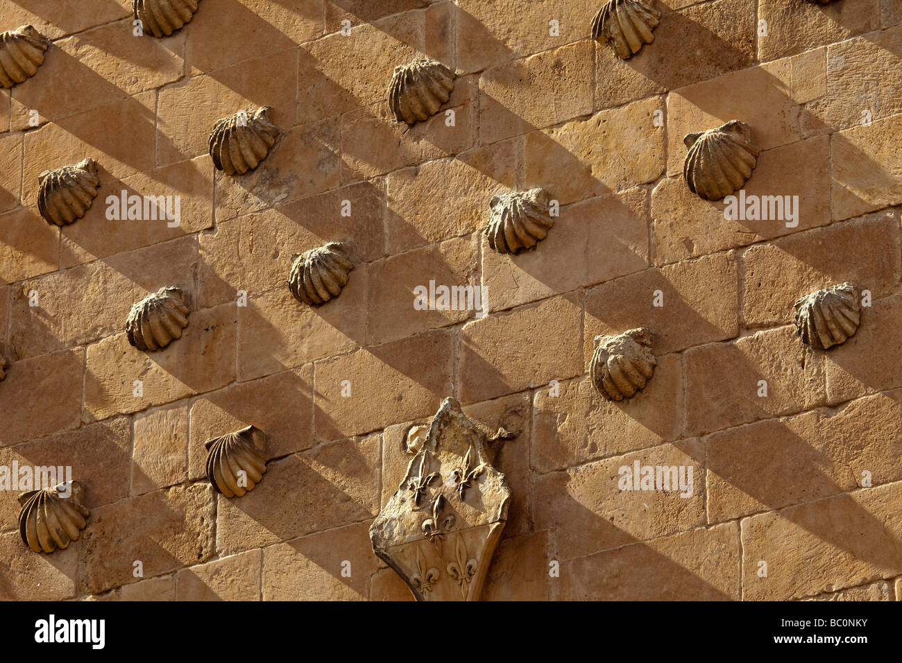 Antiguo edificio de conchas hi-res stock photography and images - Alamy
