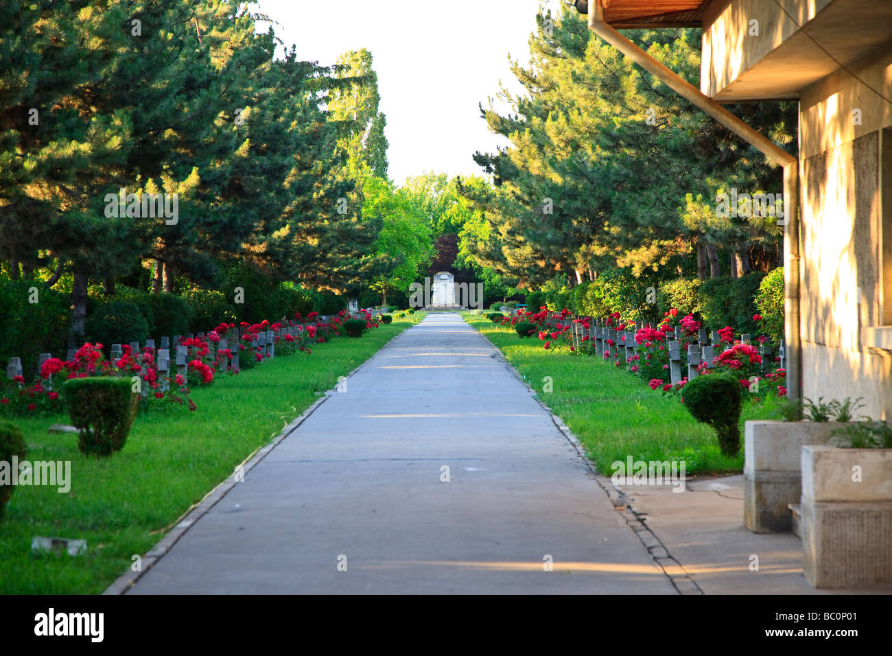 Access alley of the WWI and WWII german military cemetery Pro Patria in ...