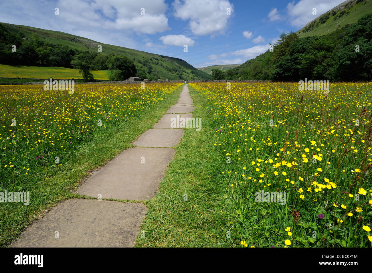 Wildflower meadows at Muker in Swaledale, Yorkshire Dales, England, UK ...