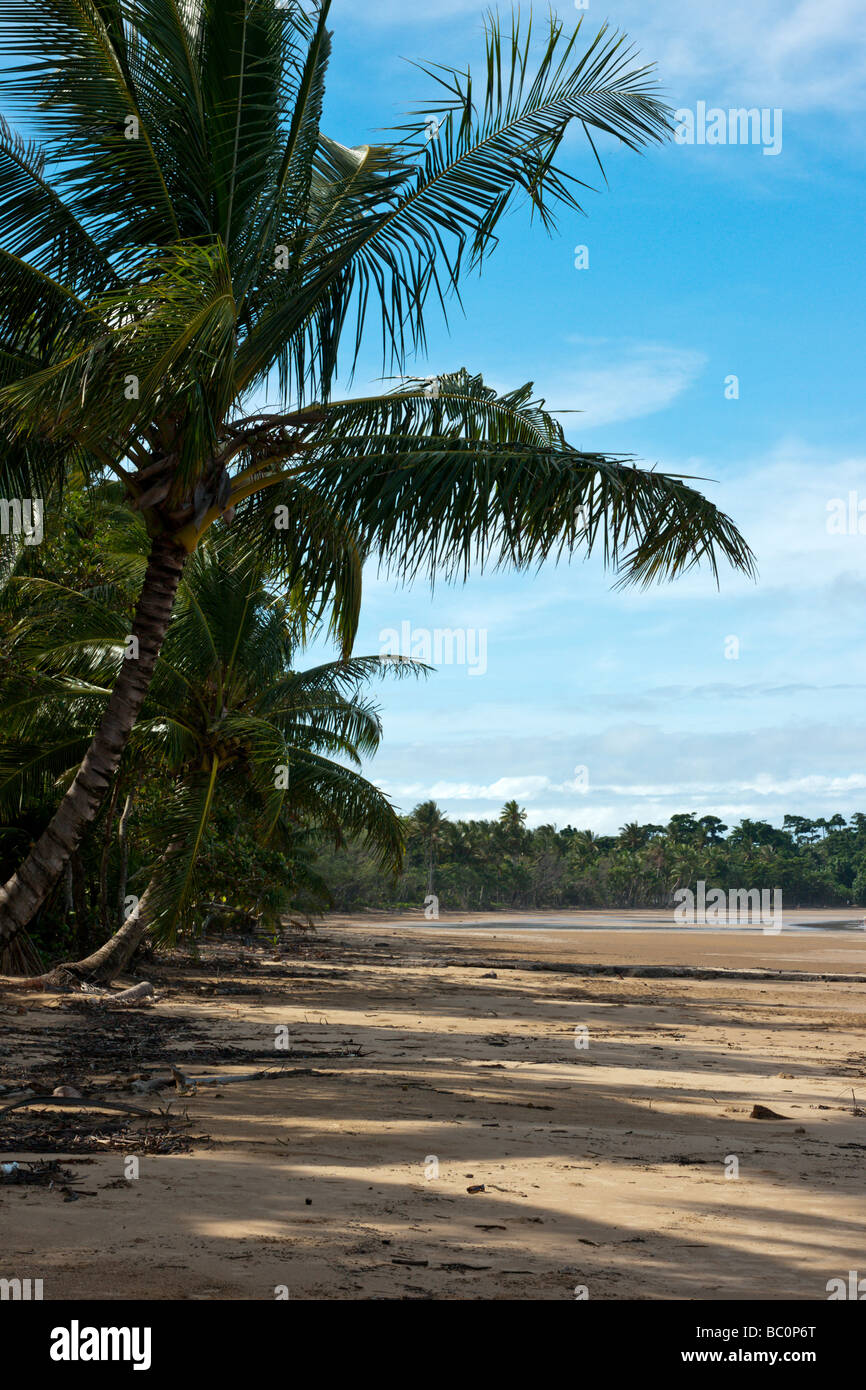 Tropical beach in the Cairns Region Queensland Australia Stock Photo ...