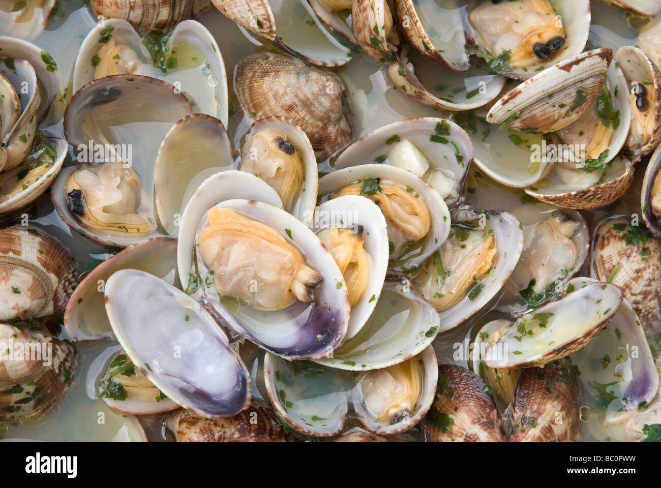 Shell clams hi-res stock photography and images - Alamy