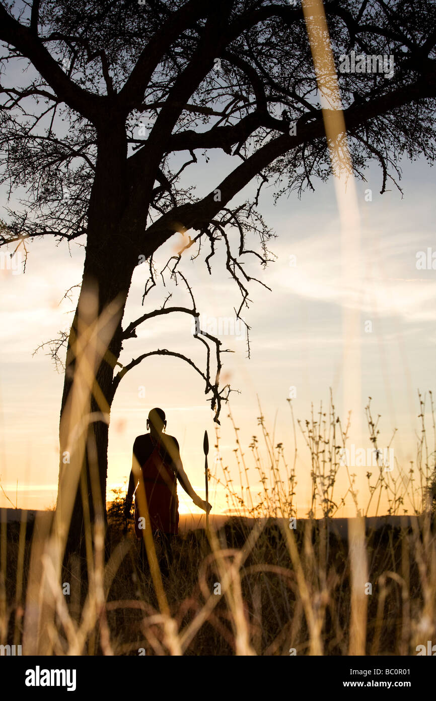 Maasai Warrior At Sunrise Masai Mara National Reserve Kenya Stock