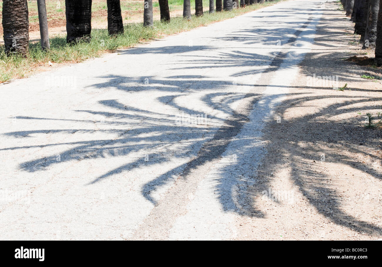 Mikve hi-res stock photography and images - Alamy
