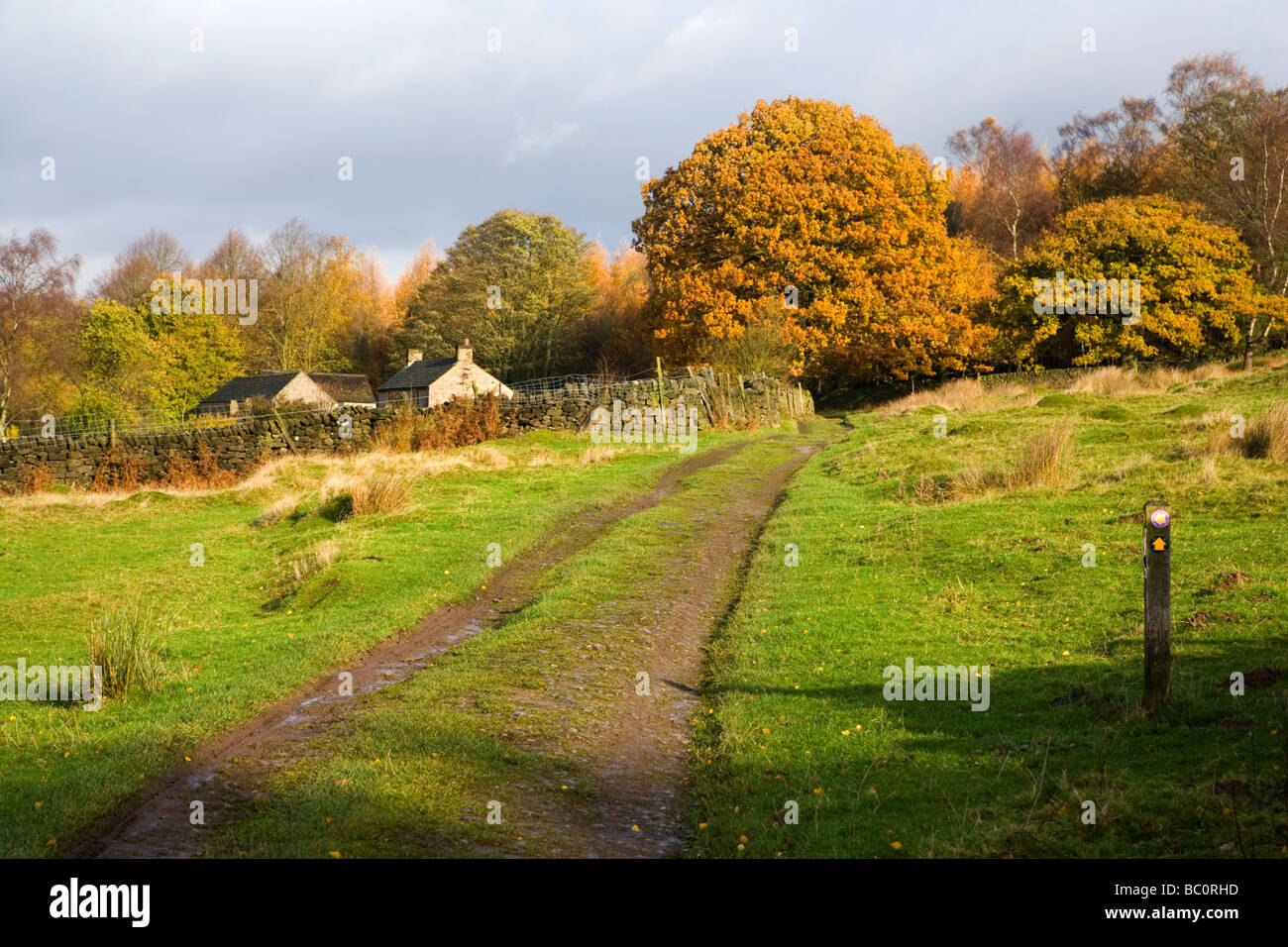 Farm buildings among woodland in the autumn on the Longshaw Estate near ...