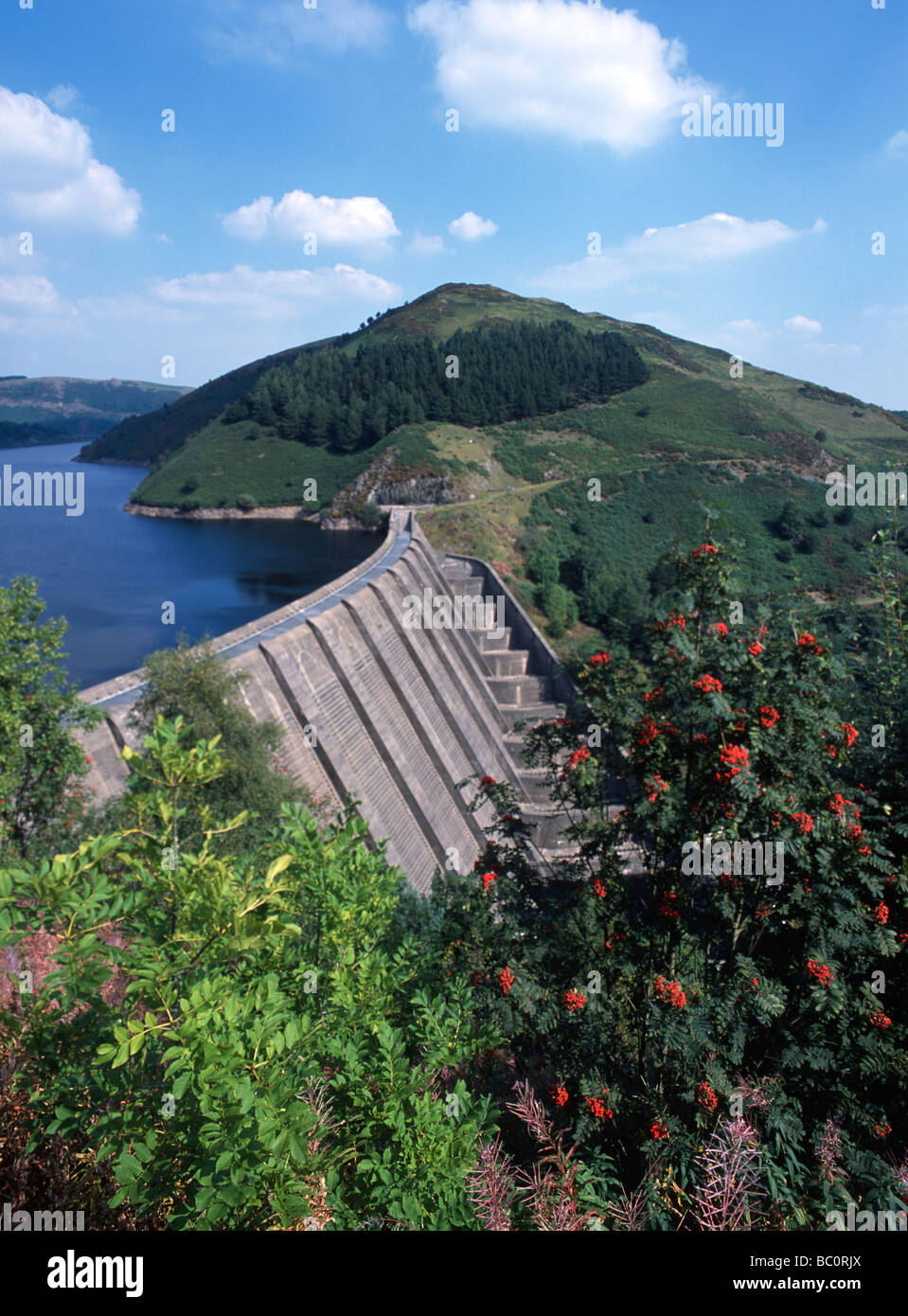 Clywedog reservoir hi-res stock photography and images - Alamy