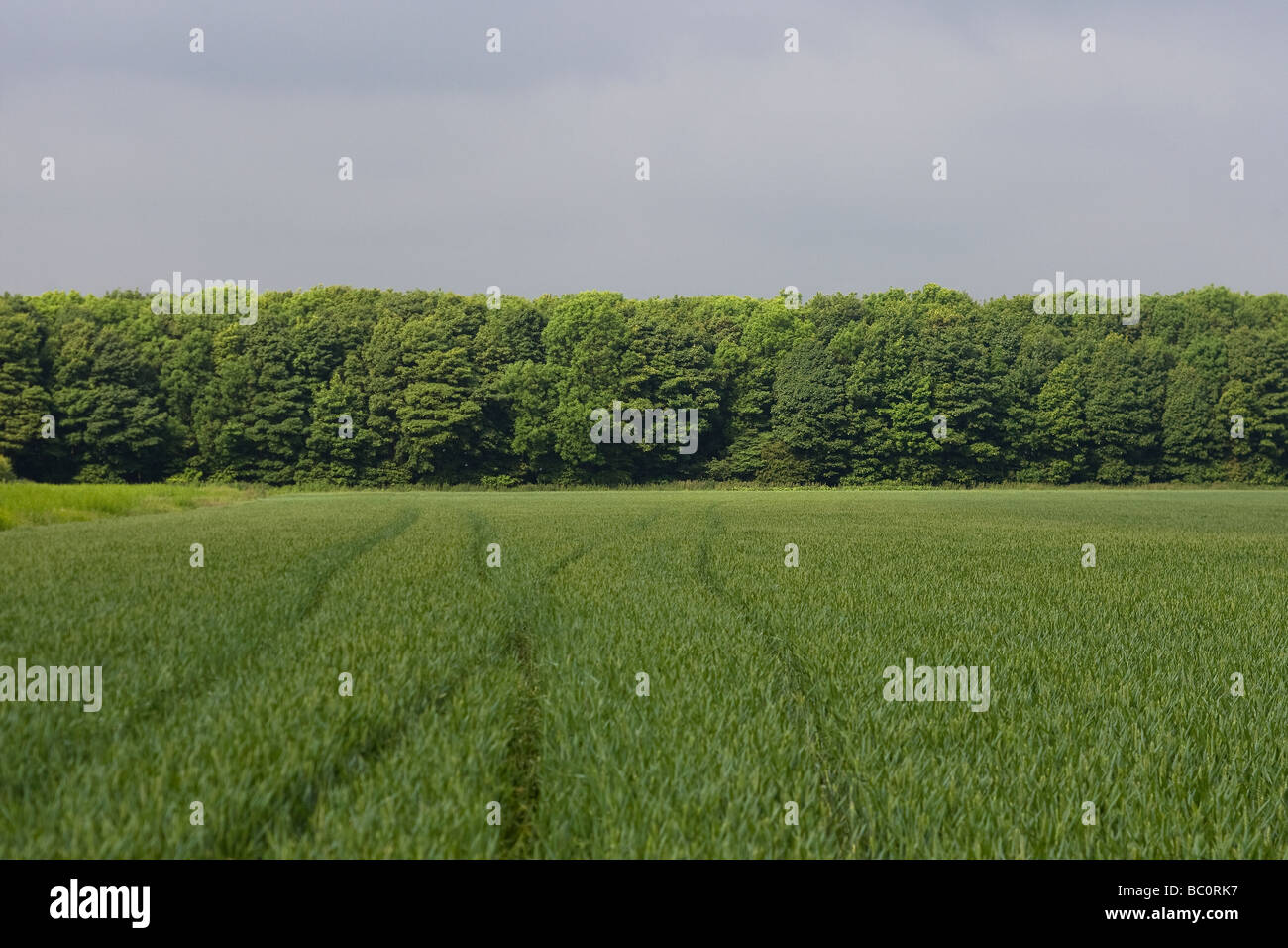 Woods and farms hi-res stock photography and images - Alamy