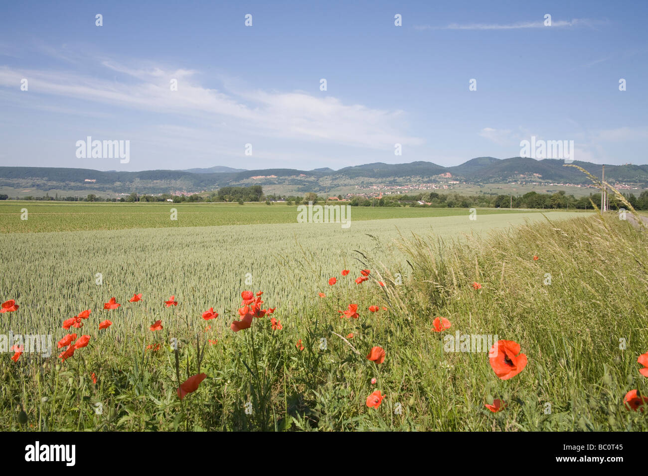 At herrlisheim hi-res stock photography and images - Alamy