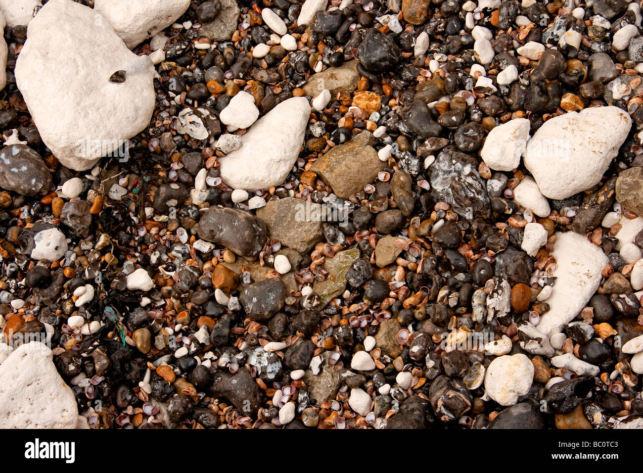 Grey flint and chalk pebble hi-res stock photography and images - Alamy