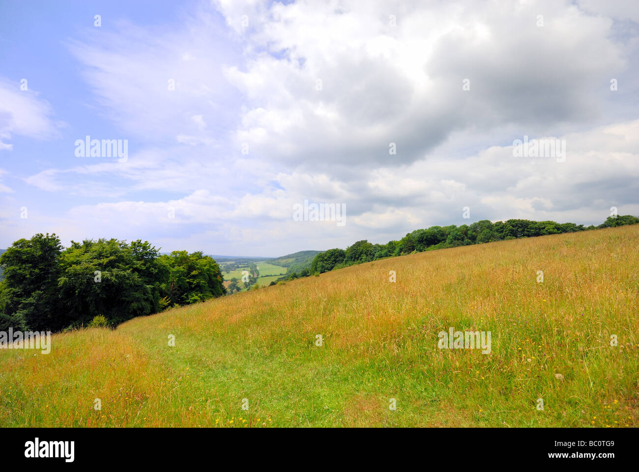 Pilgrims way north downs hi-res stock photography and images - Alamy