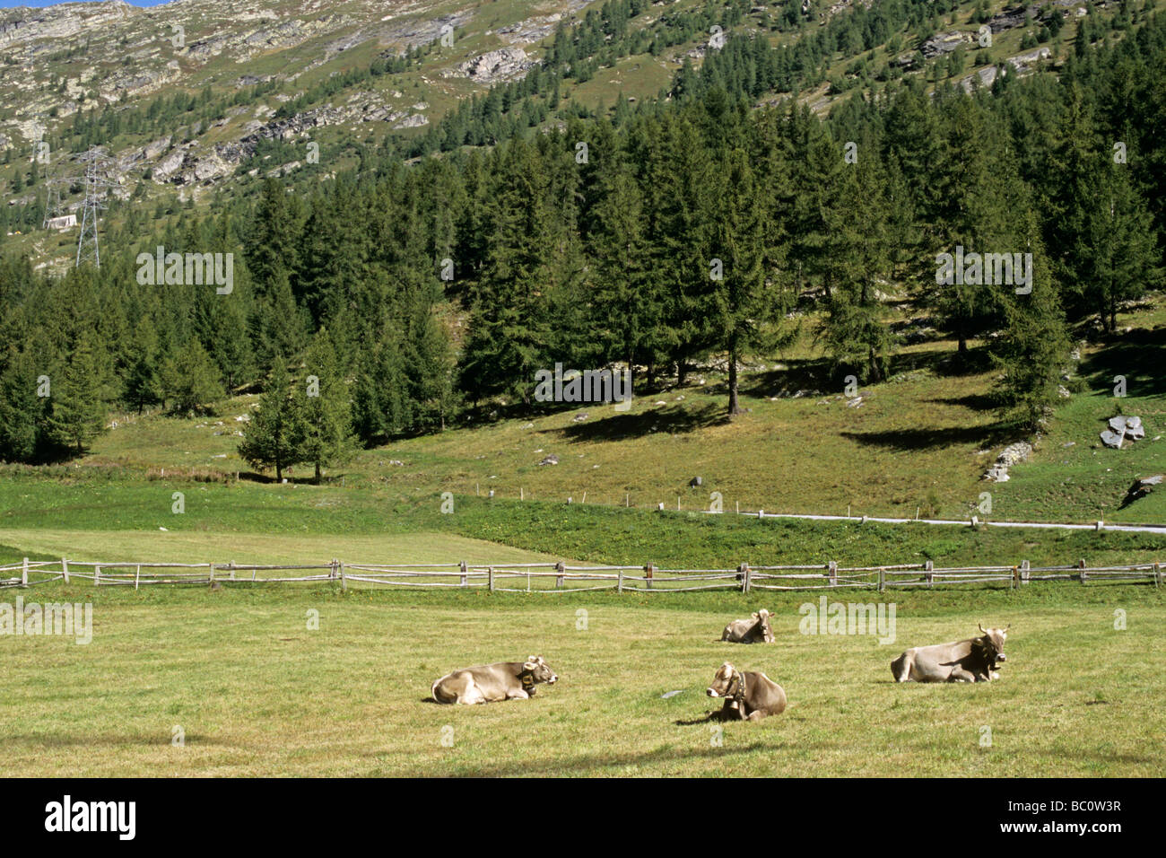 Swiss tunnel simplon hi-res stock photography and images - Alamy