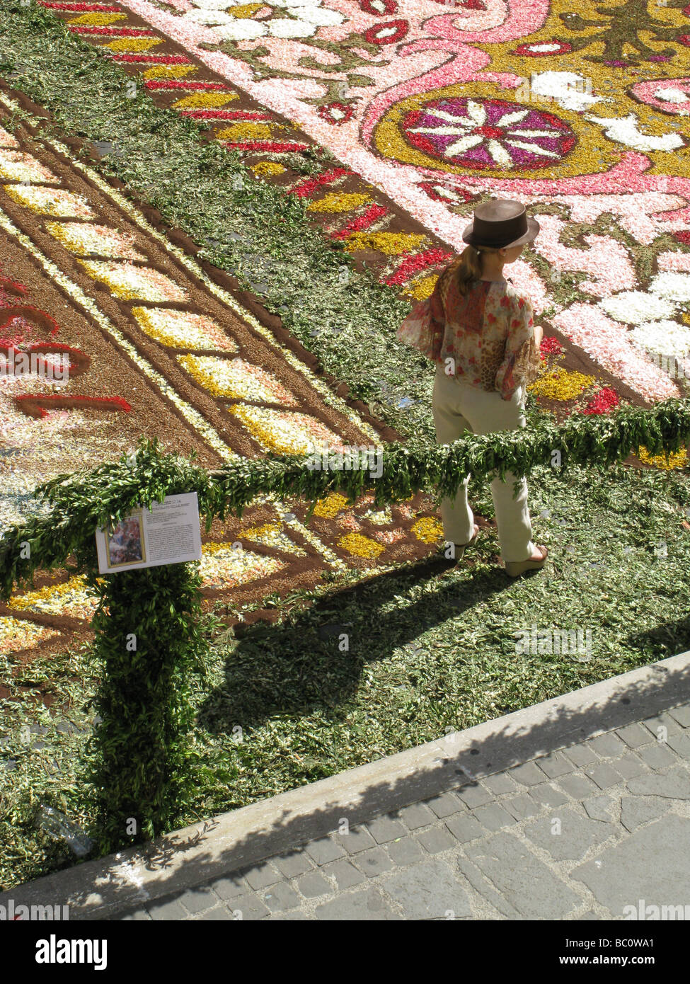 carnival infiorata flowers petals designs festival in genzano, lazio ...