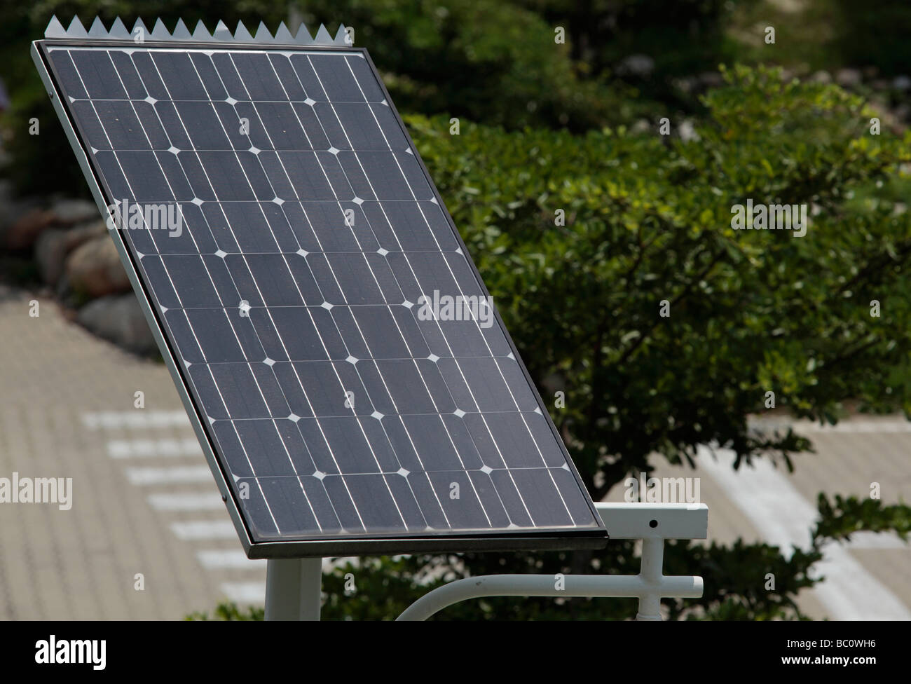 Power plate hi-res stock photography and images - Alamy