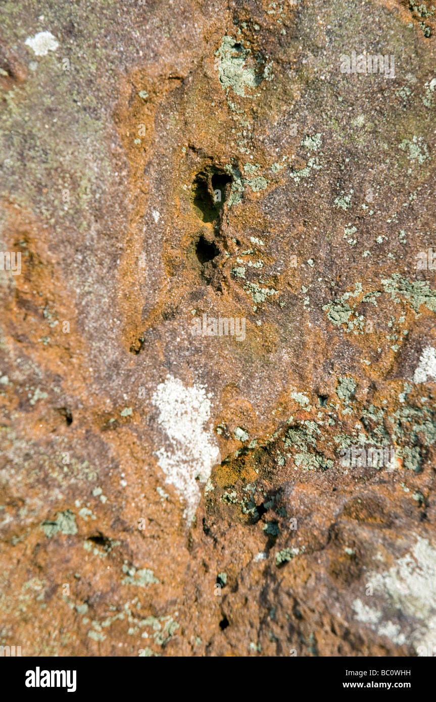 The Longstone, Mottistone, Isle of Wight, England, UK, GB Stock Photo ...