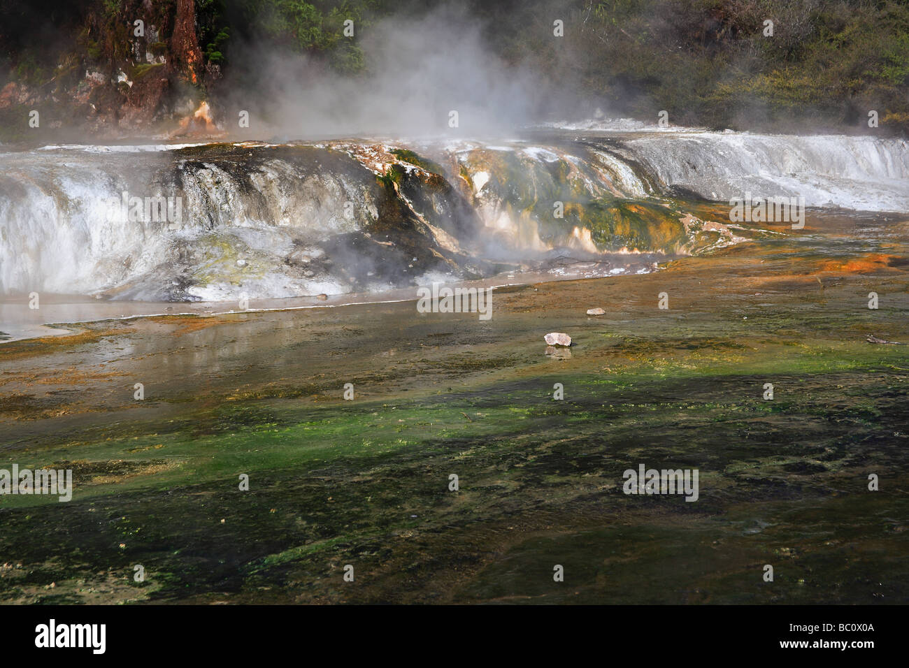 Warbrick Terrace, Waimangu Thermal Valley Stock Photo - Alamy