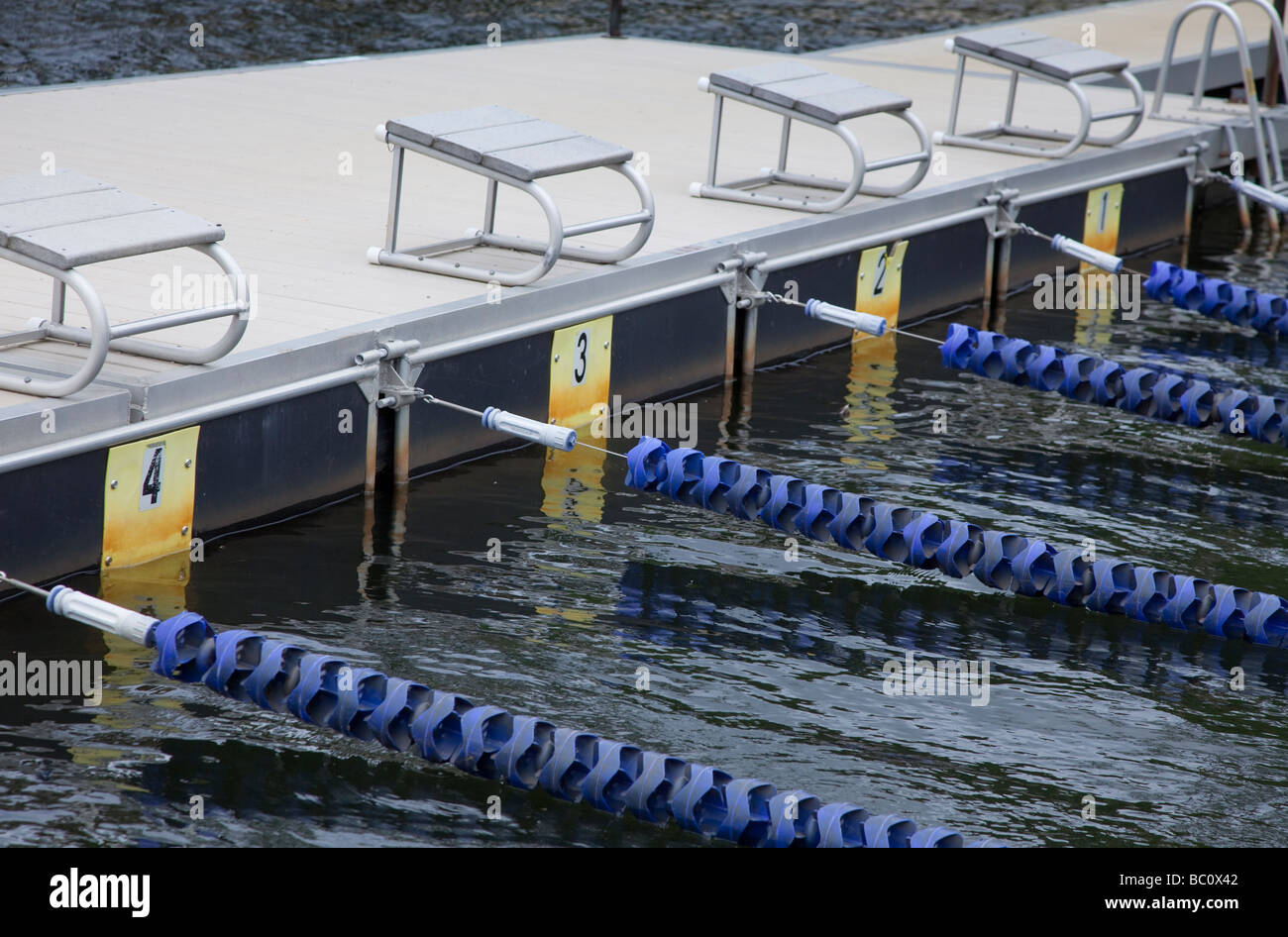 Swimming lanes for a meet Stock Photo - Alamy