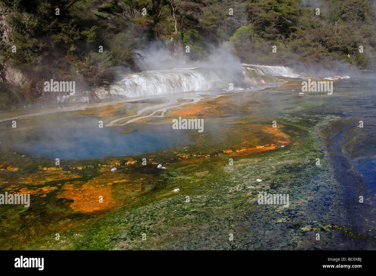 Warbrick Terrace, Waimangu Thermal Valley Stock Photo - Alamy