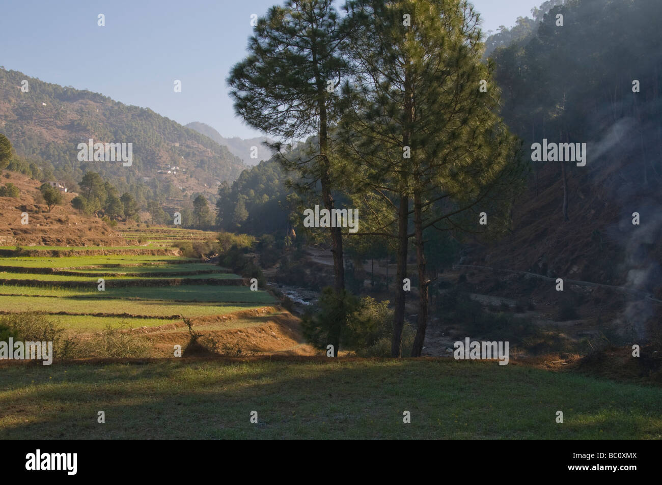 Rural India, Lower Himalayas,Kumaon Villagers, Ancient Terraces ...