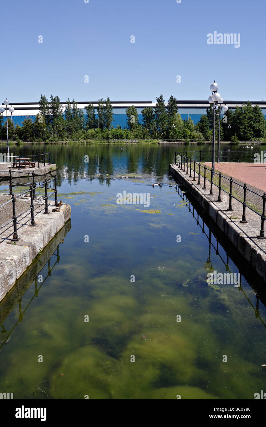 Cardiff Docks feeder stream showing algae bloom Atlantic Wharf Stock ...