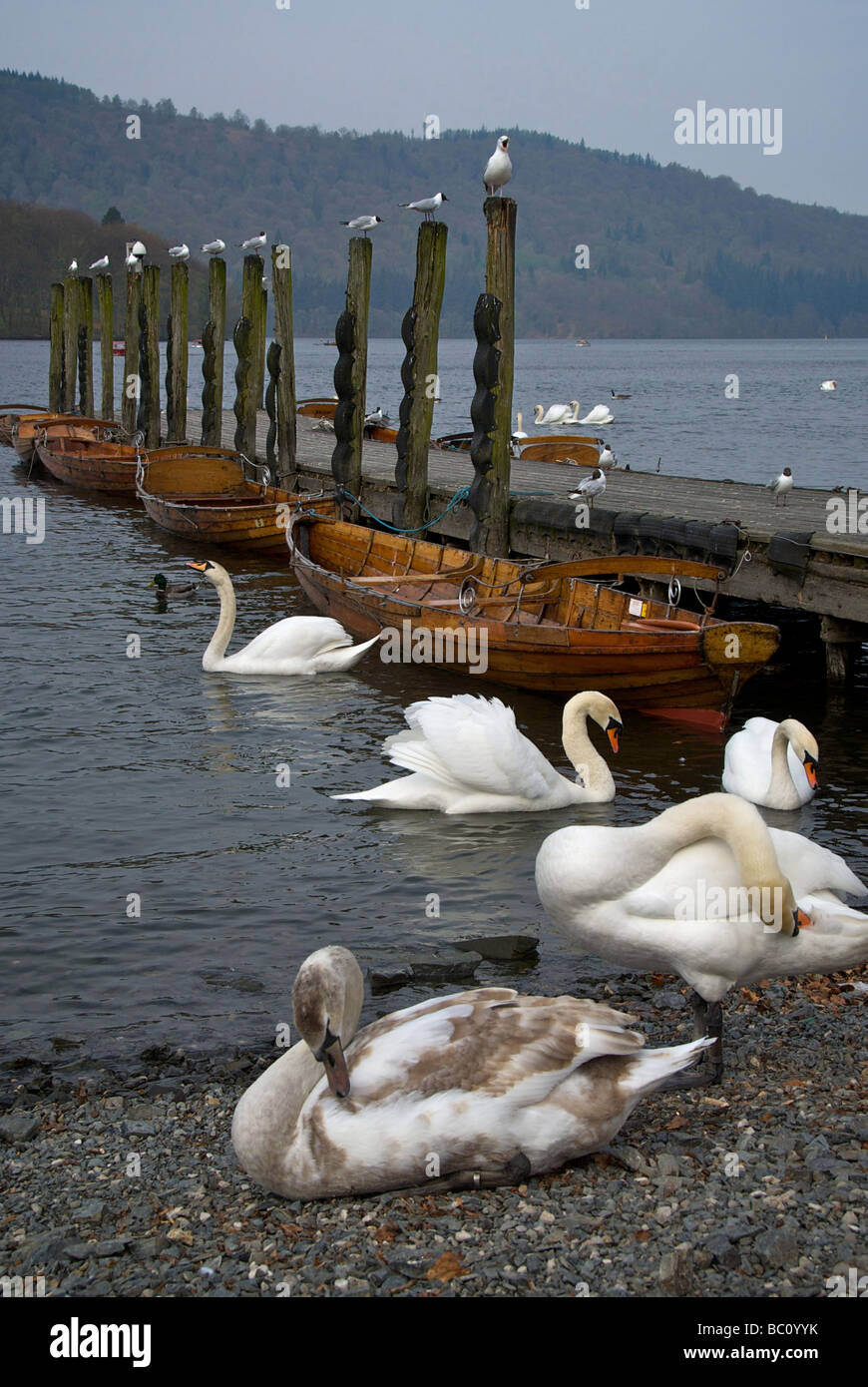 Bowness on Windermere Lake District Cumbria UK Stock Photo - Alamy