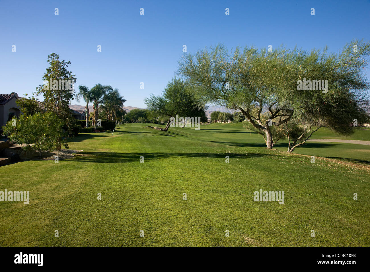 Gary springs hi-res stock photography and images - Alamy