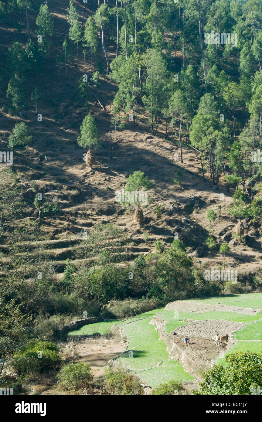 Rural India, Lower Himalayas,Kumaon Villagers, Villages, Ancient ...