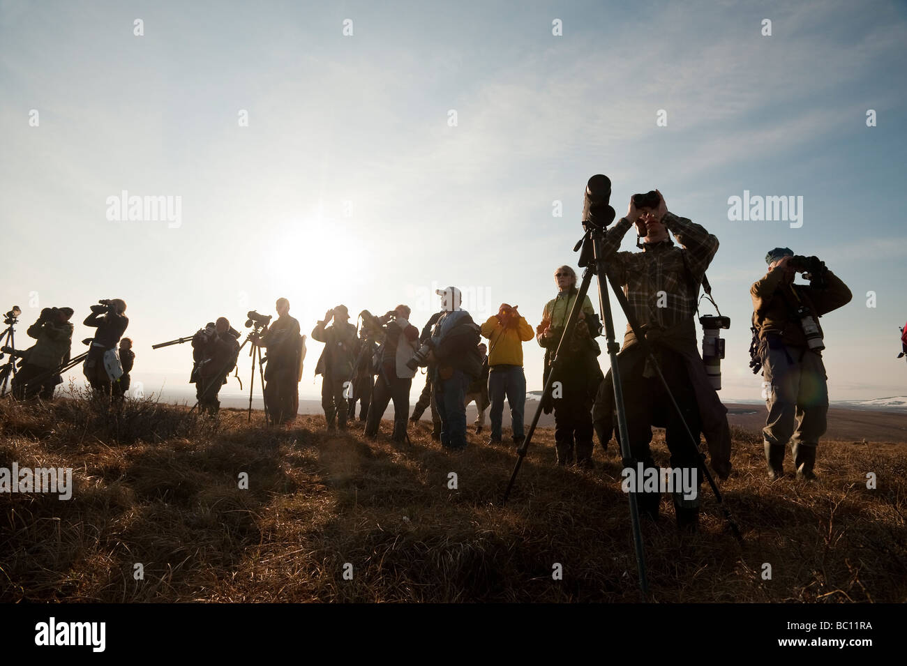 BIRD WATCHERS STAND SILHOUETTED ON THE ALASKAN TUNDRA Stock Photo - Alamy