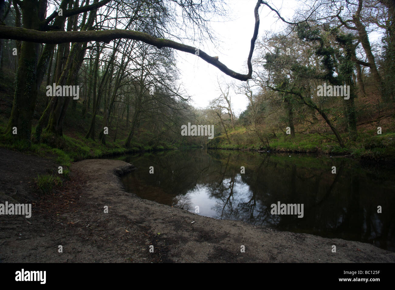 River Camel, Dunmere Stock Photo - Alamy