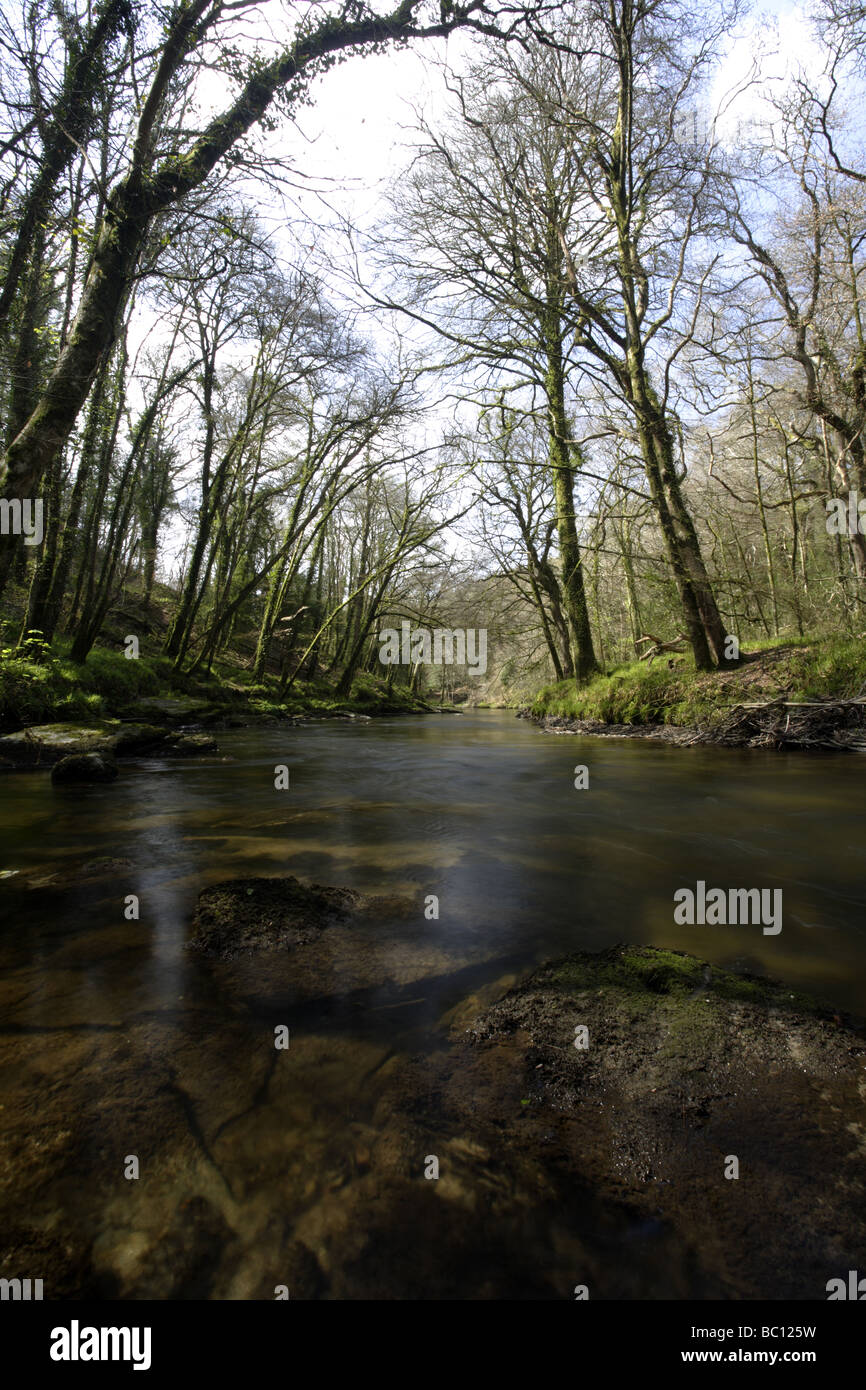 River Camel, Dunmere Stock Photo - Alamy