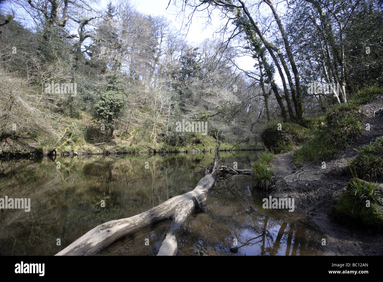 River Camel, Dunmere Stock Photo - Alamy