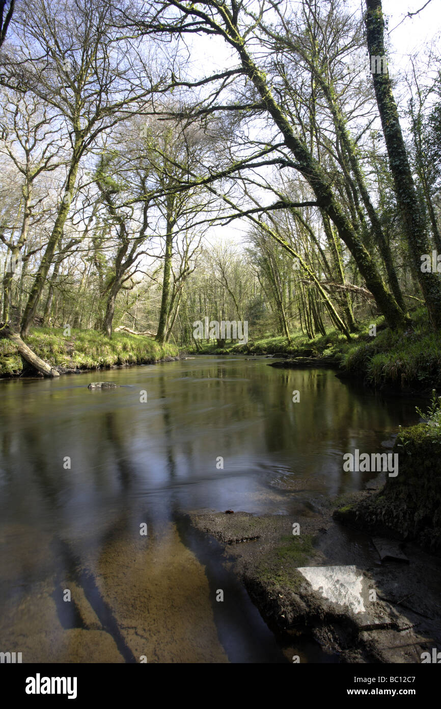 River Camel, Dunmere Stock Photo - Alamy