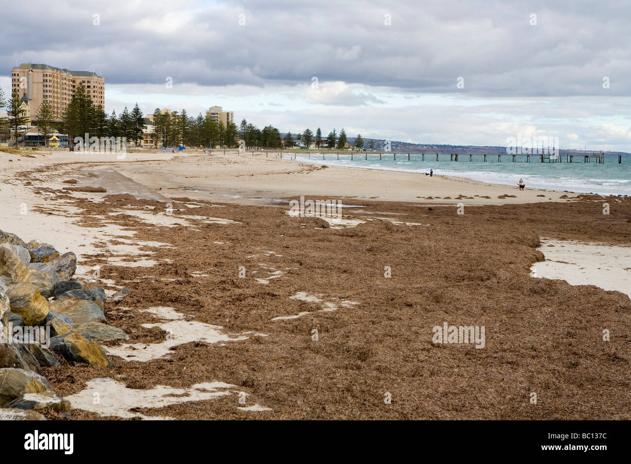 Apartments architecture building urban cloud weed sea ocean jetty pier ...