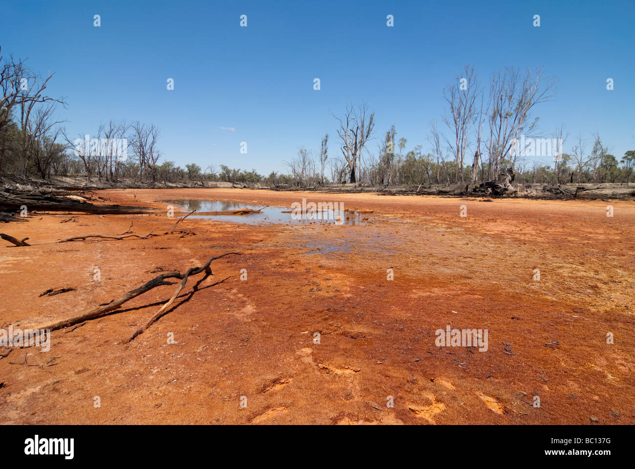 Acid soils hi-res stock photography and images - Alamy