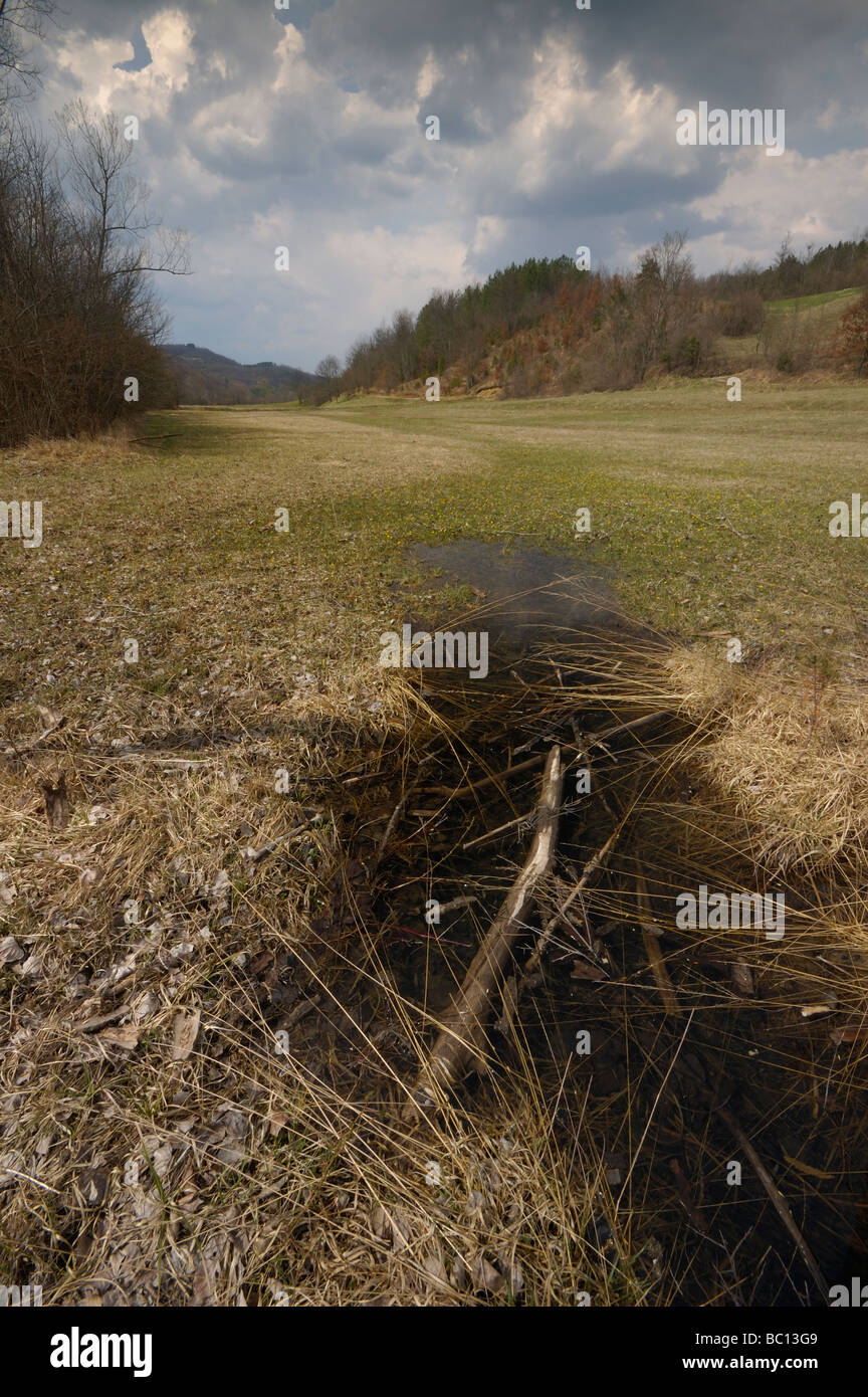 Sky reflection in plash hi-res stock photography and images - Alamy